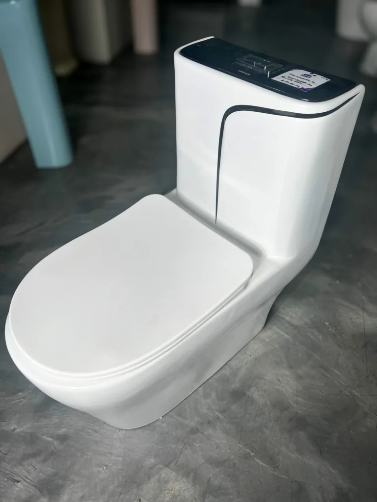 MODERN ONE-PIECE TOILET WITH BLACK ACCENT AND DUAL-FLUSH TECHNOLOGY ...