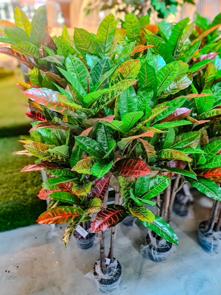REALISTIC ARTIFICIAL CROTON PLANT – LUSH & VIBRANT HOME DÉCOR - Dunn's